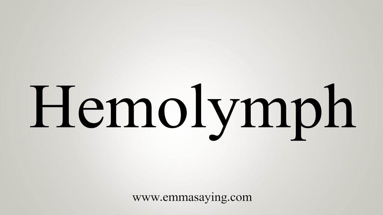 How To Say Hemolymph - YouTube