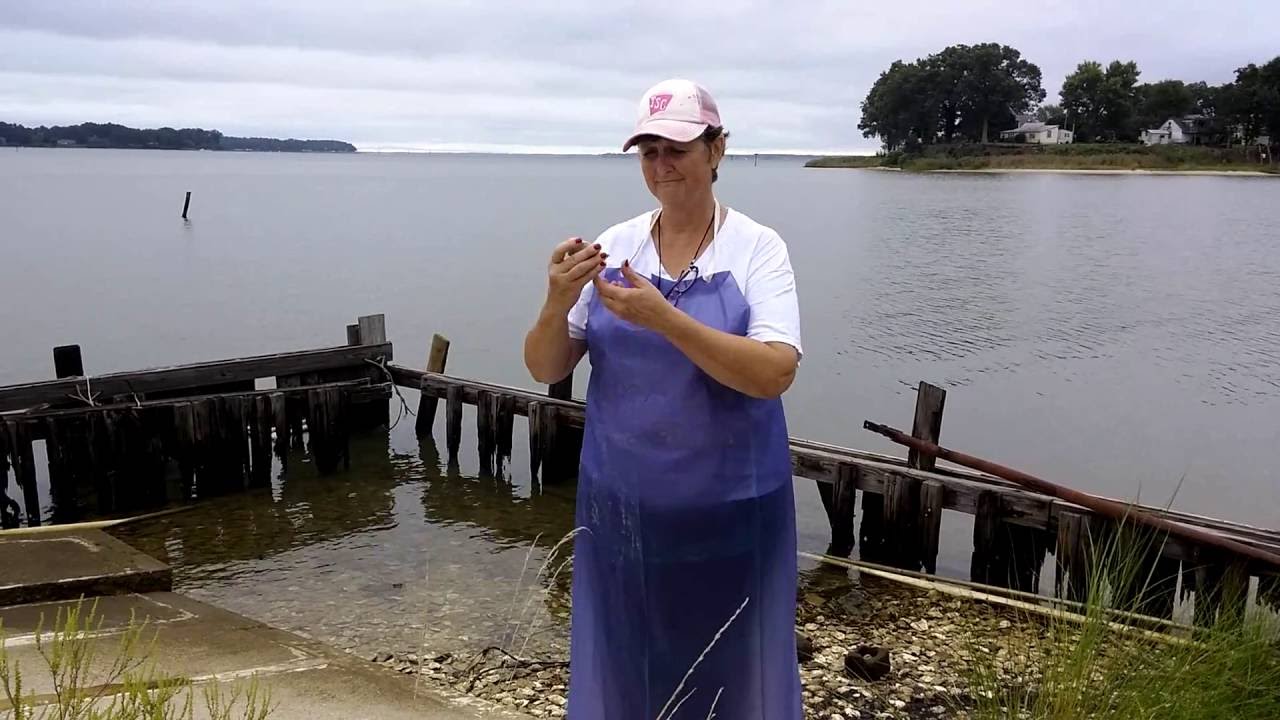 DT Callis Seafood - Deborah Haydon - Startup Video 2017 - YouTube