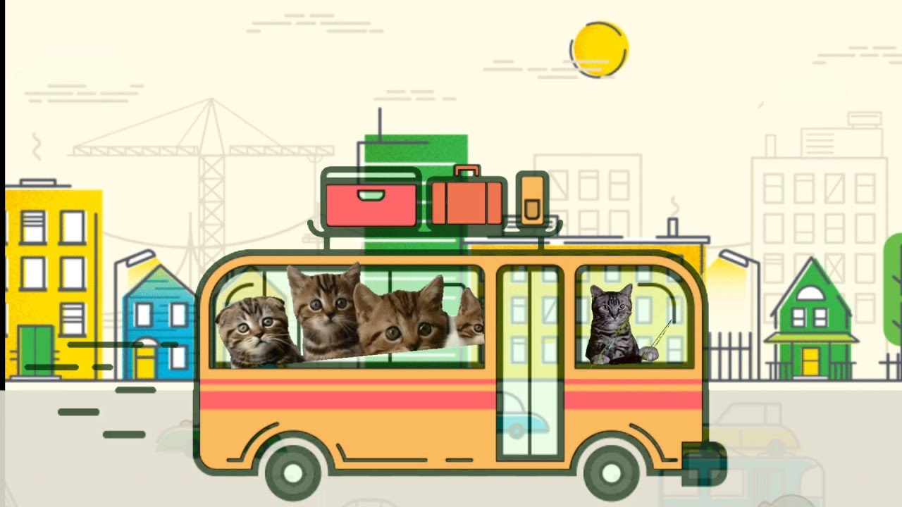 Cats singing Wheels on the bus 🚌 | Cat version🐈. - YouTube