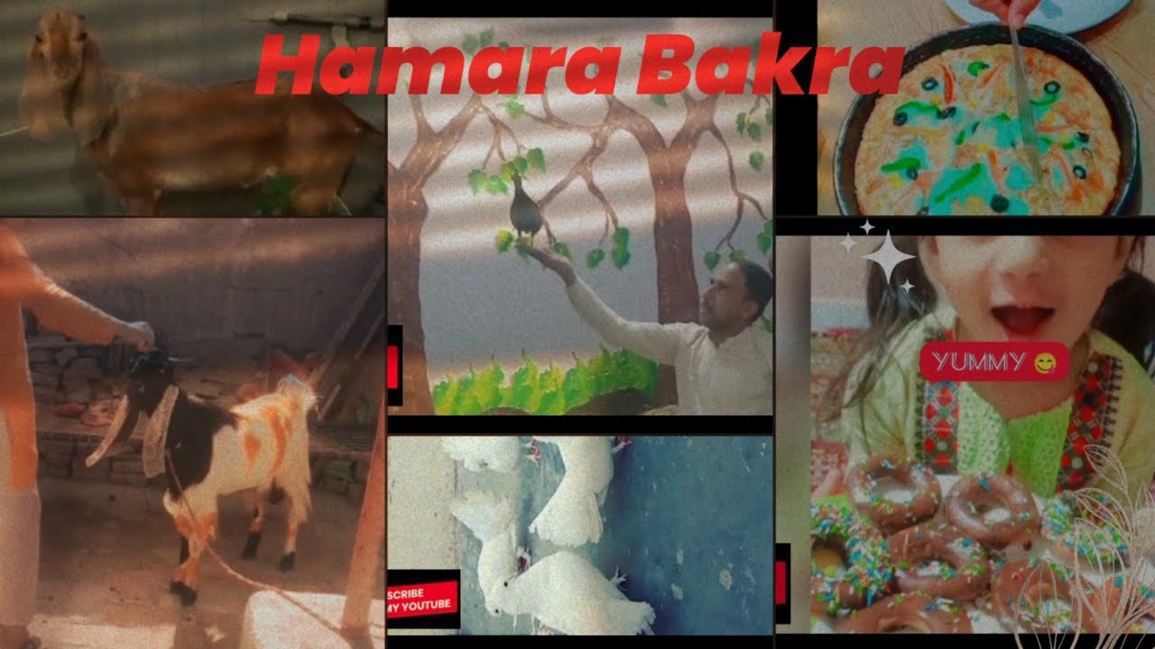 Hamara Bakra Agya🐐 - YouTube