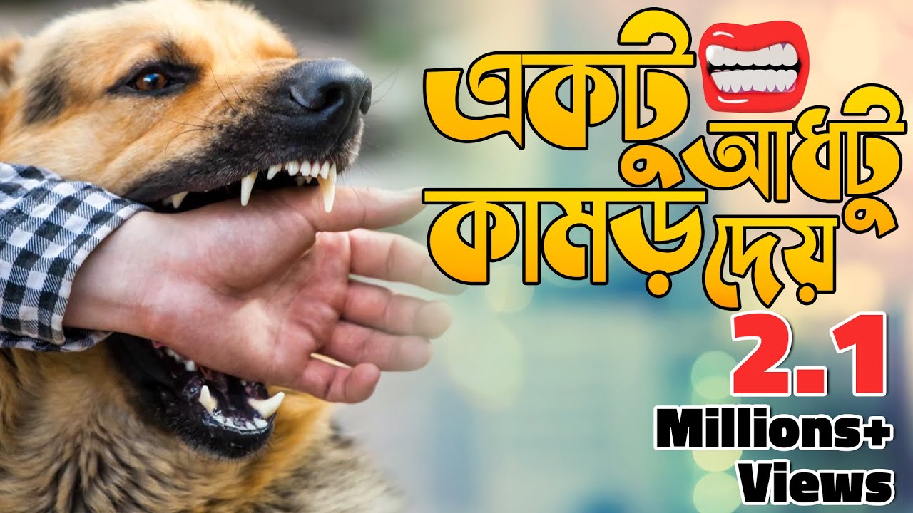 একটু আকটু কামড় দেয় । Afzal Khan by Rj Tazz | Spice FM | Must See ...