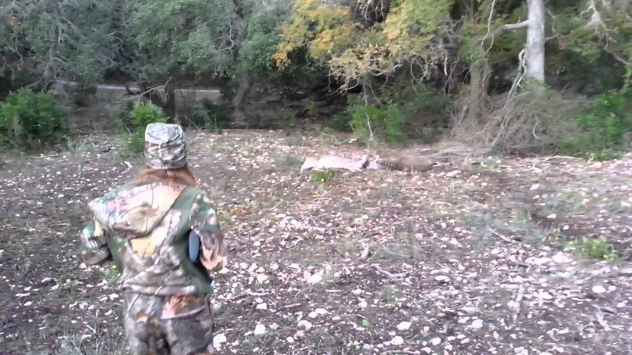 777 Ranch Bucks - YouTube