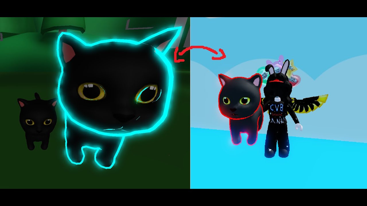 How To Get Copito Cat In PET PARTY 🎉 Roblox 2023 - YouTube