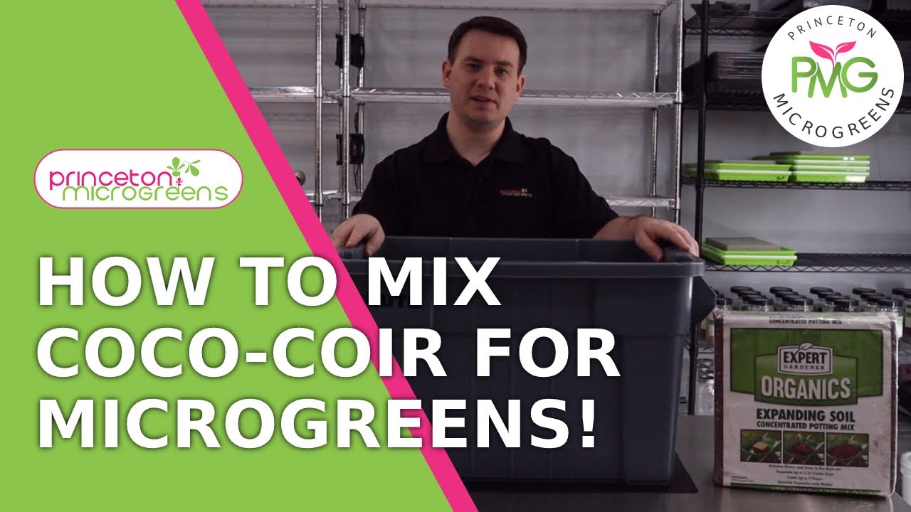 How to mix Coco Coir Blocks for Microgreens! - YouTube