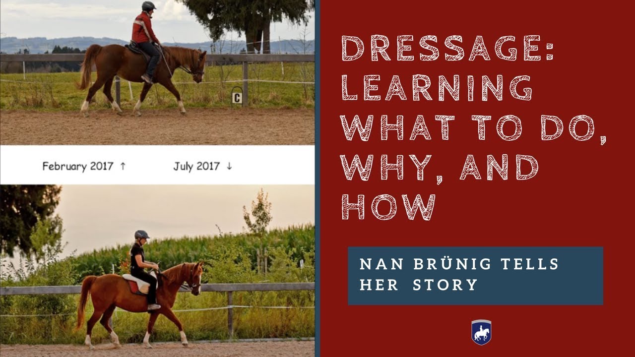 Dressage: Learning What to do, why, and how - YouTube