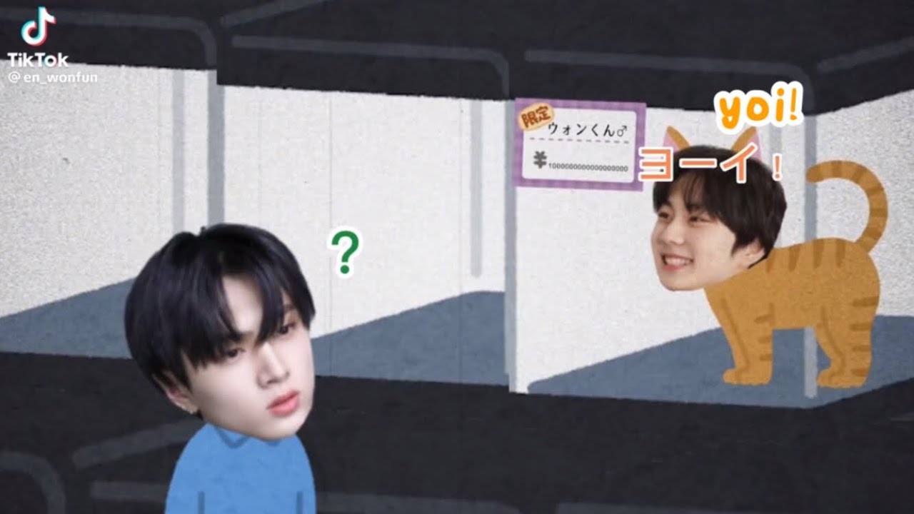 Jungwon and Jay as a cat and a cat owner ft. Sunoo as the pet shop ...