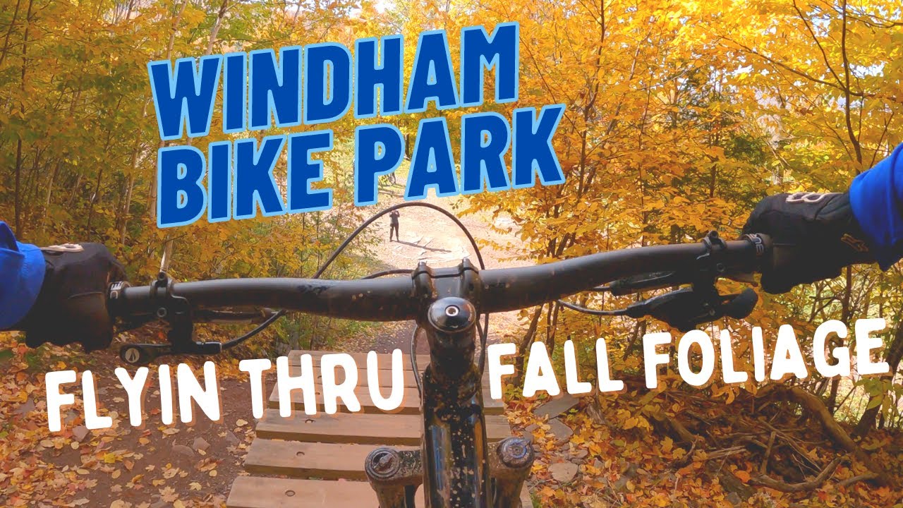 Fall Foliage at Windham Bike Park - Wilderness Roll | Anthill ...