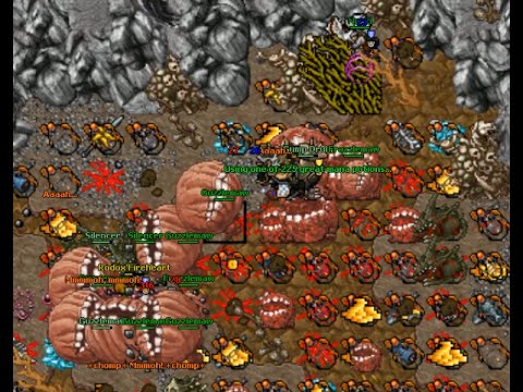 TIBIA - Team hunt Roshamuul - Hunt de sexta - YouTube
