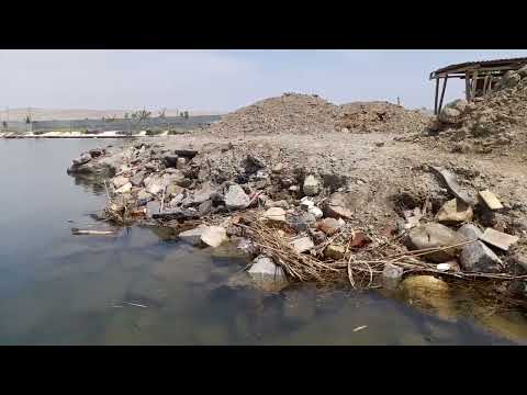 Mingəçevirin quş adasında olubsunuz? Gəlin sizə yolunu göstərim