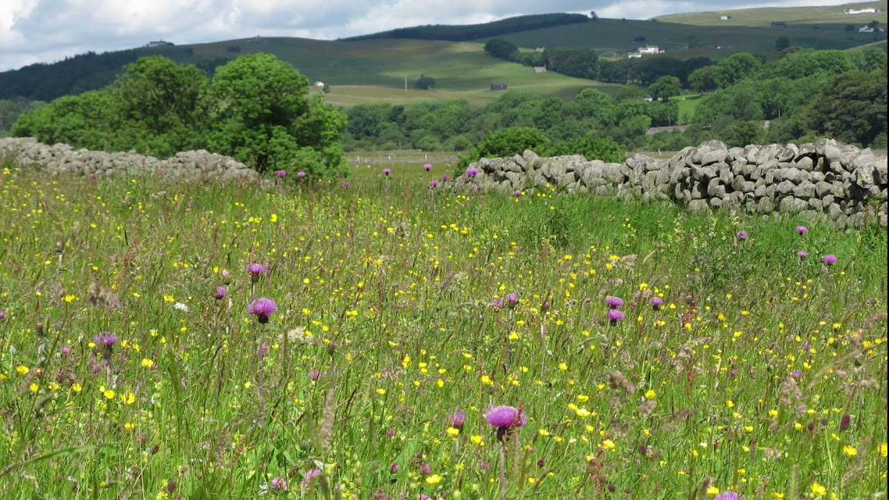 Lazy Summer Afternoon - YouTube