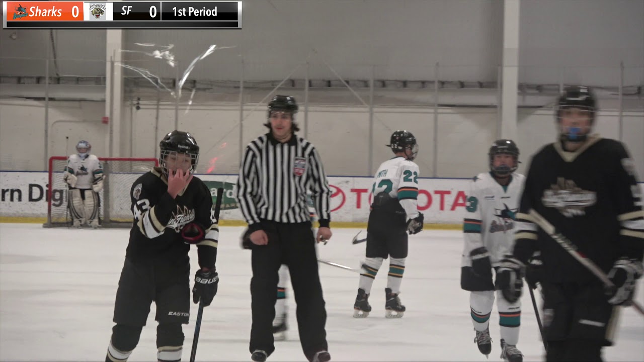 San Jose Jr. Sharks 14A vs SF Sabercats 11-12-2017 - YouTube