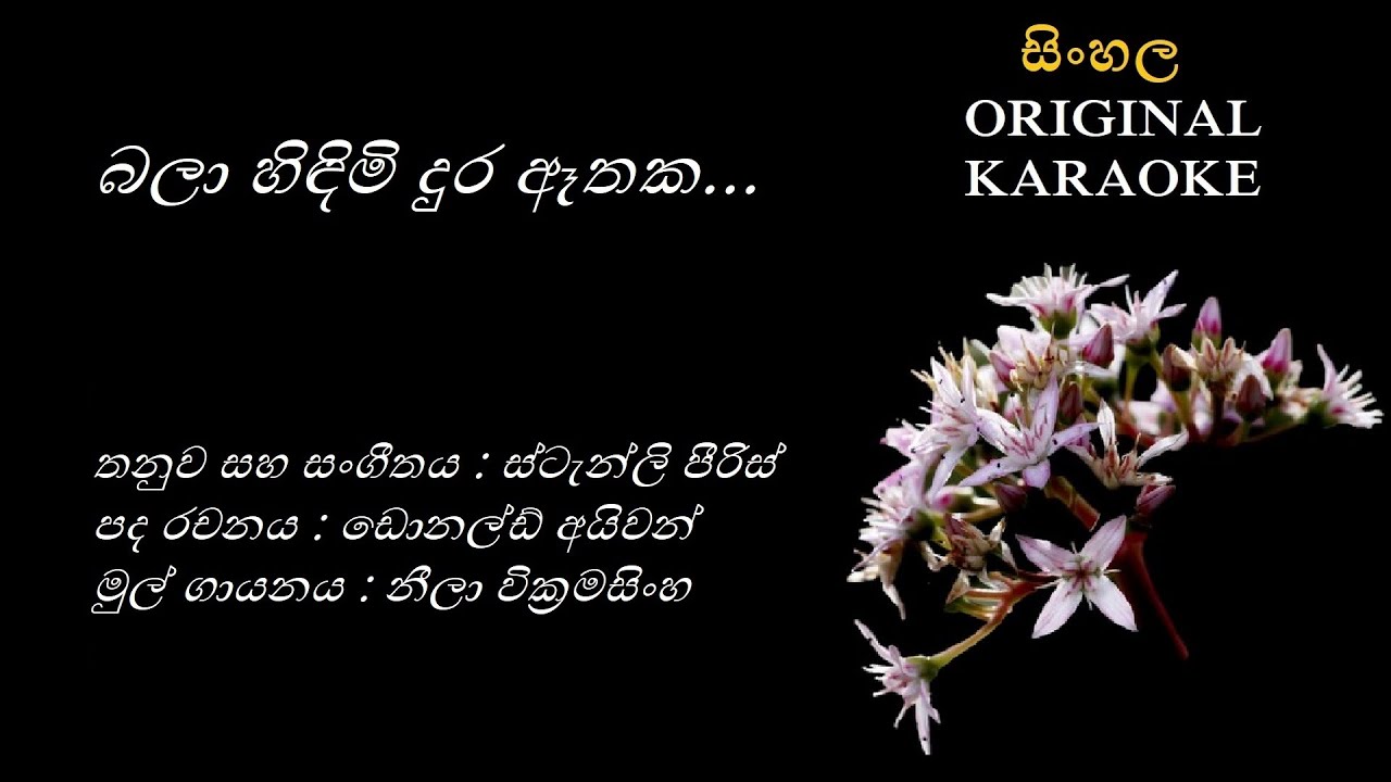 Bala Hindimi Dura - බලා හිඳිමි දුර - KARAOKE - Neela Wickramasinghe ...