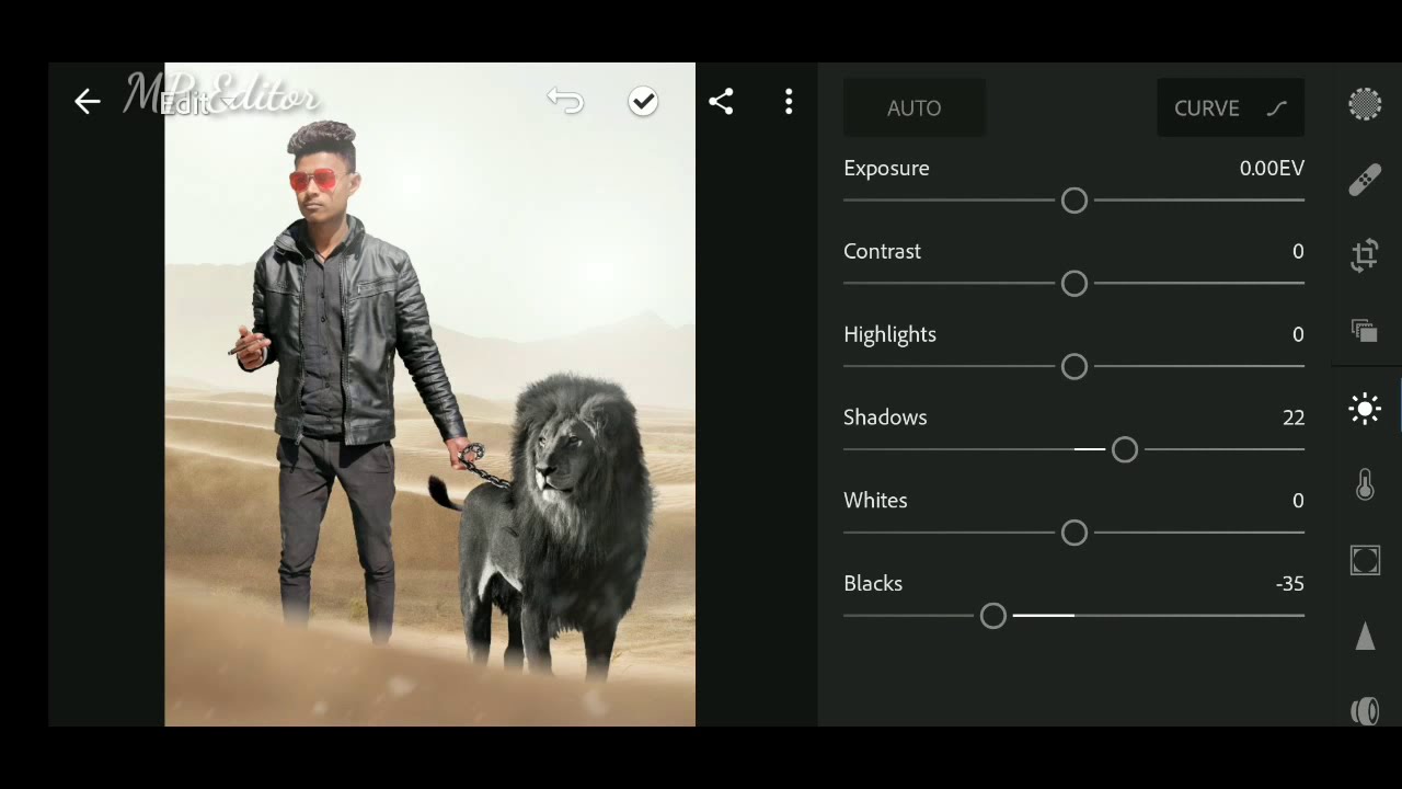 Black lion pic editing by mp editor 2020 //MP EDITOR OFFICIAL// - YouTube