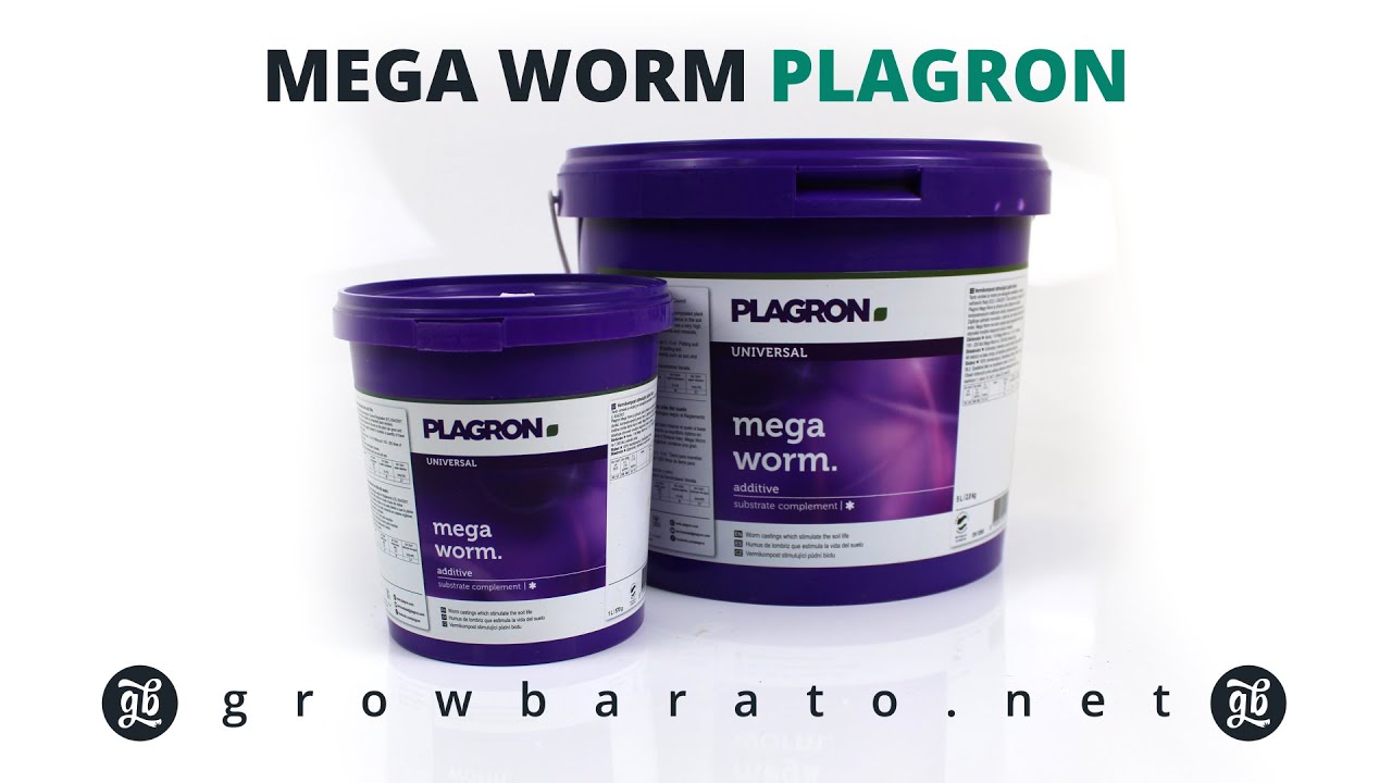 Mega Worm de Plagron | Growbarato - GB The Green Brand - YouTube