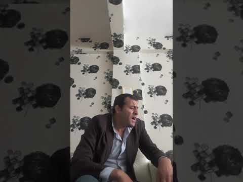 ÖLDÜRÜN NOLUR ALİ NURŞANİ