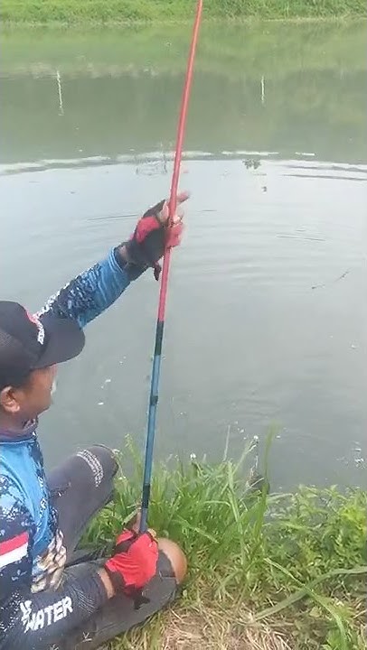 Nila Babon bikin joran mau patah #shorts - YouTube