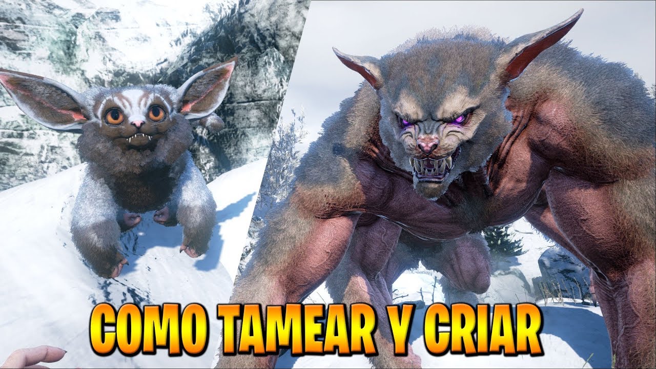 COMO TAMEAR AL FEROX Y COMO CRIAR CON EL - YouTube