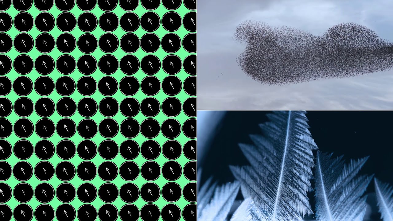 What Is Emergence YouTube what-is-emergence-youtube