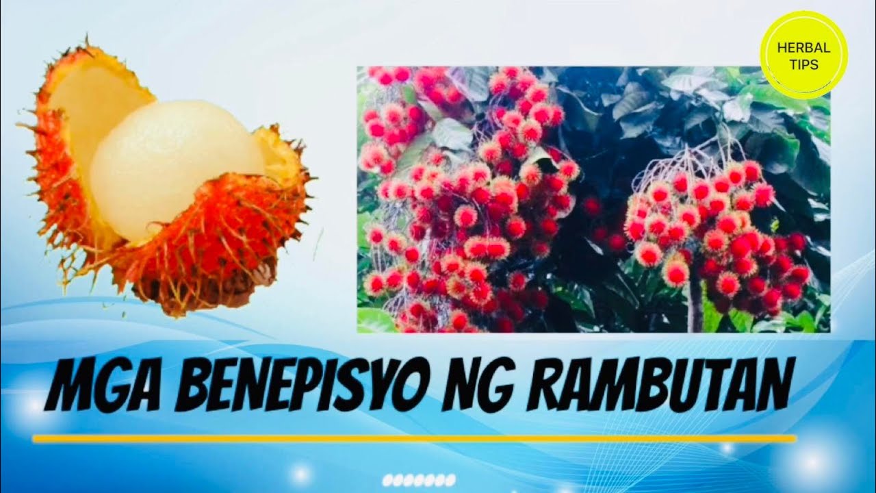 BENEPISYO NG RAMBUTAN | Herbaltips101 - YouTube