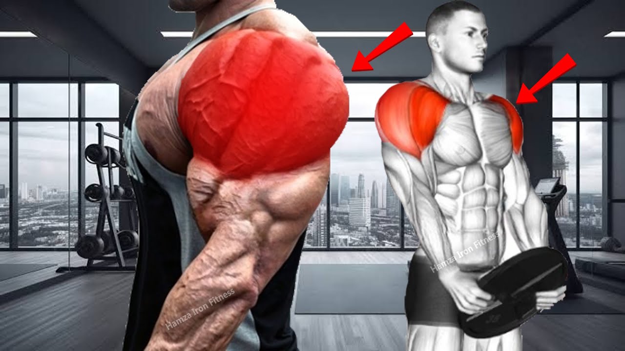 7 Easy Exercises To Build Your Shoulders Fast - YouTube