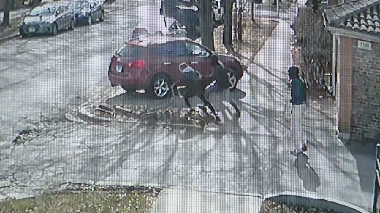 Lady Ran Over Myrtle Beach