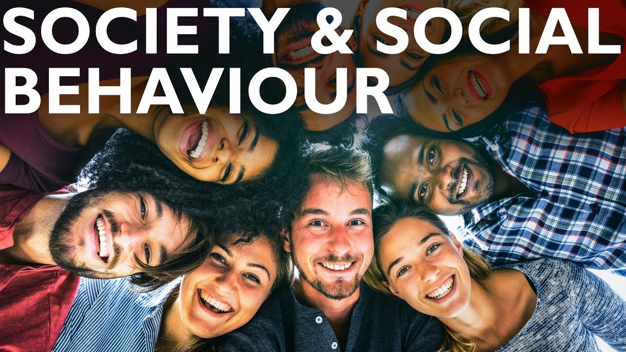 SOCIETY AND SOCIAL BEHAVIOUR by Rich Life - YouTube