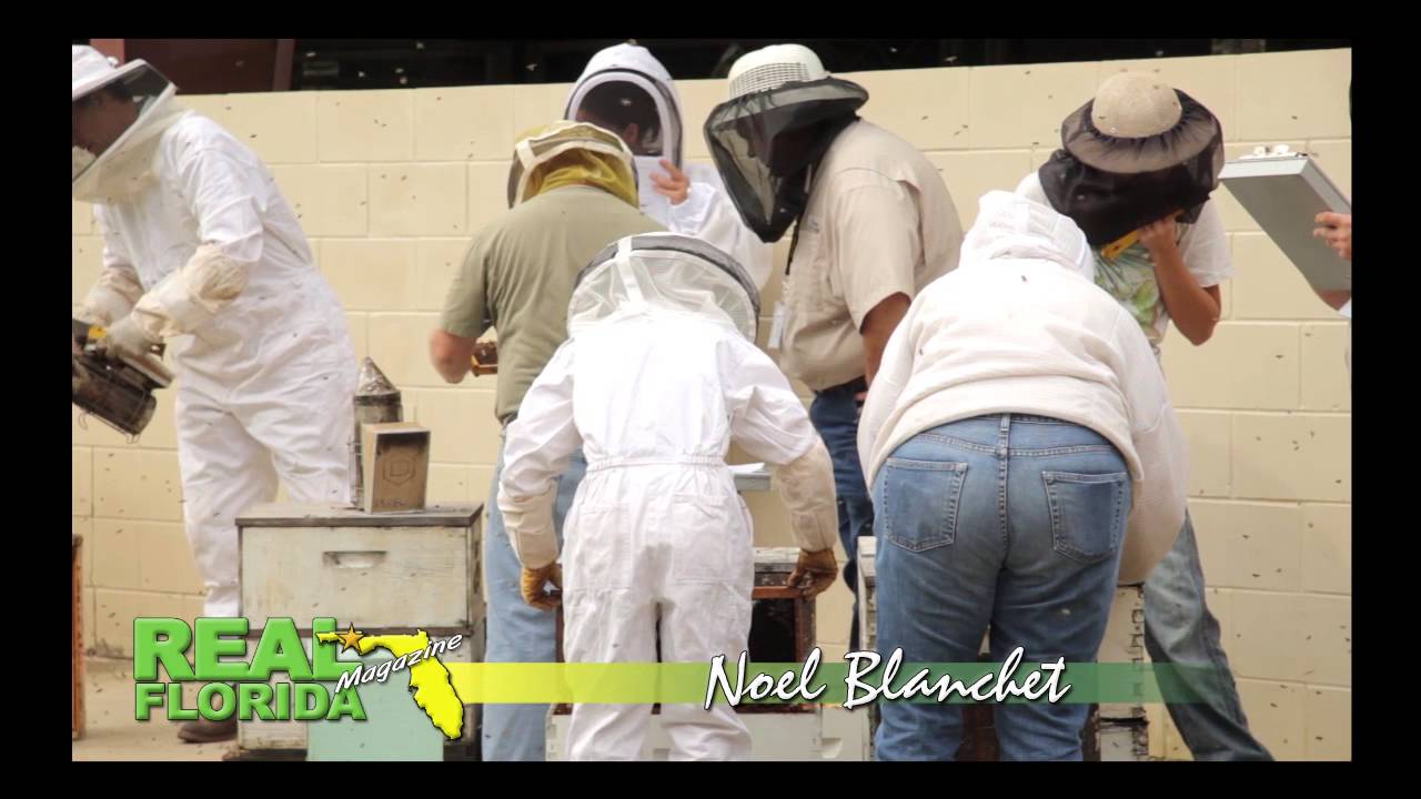 RFM Florida Beekeepers Convention Noel Blanchet Interview 11 4 13 720p ...