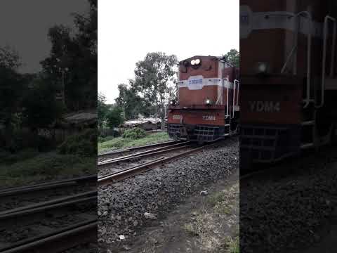 Vintage Train Of Patal Pani #patalpani #vintage #train #travel #railway ...