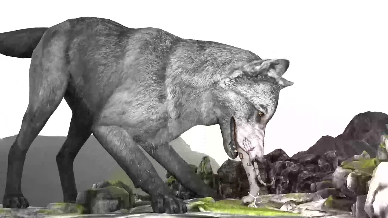 Feral Wolf Vore