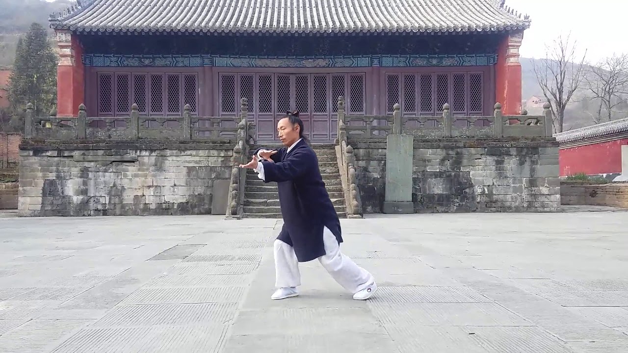 Wudang Tai Chi Quan 13 by Master Zheng - YouTube