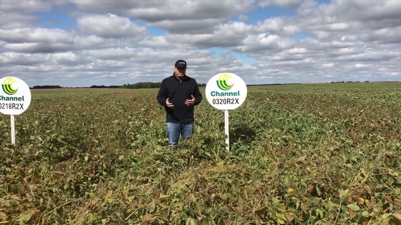 Olson Farms Seed Virtual Plot tour - YouTube