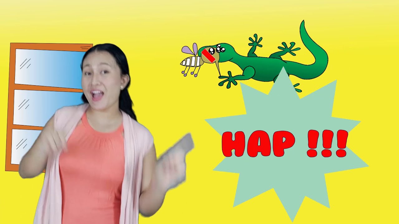 Cicak - Cicak di Dinding | Lagu Anak Indonesia Mama Caca - YouTube