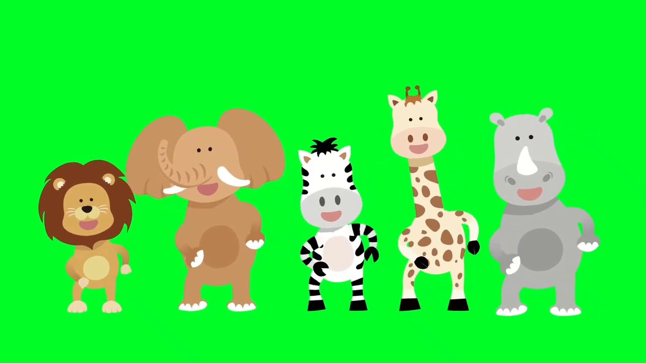 GREEN SCREEN ANIMALS DANCING ( ANIMAIS DANÇANDO ) - YouTube