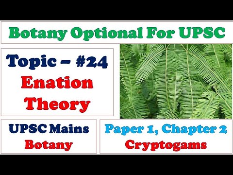 Enation Theory: Origin of Microphyllous Leaves in Pteridophytes: Botany ...