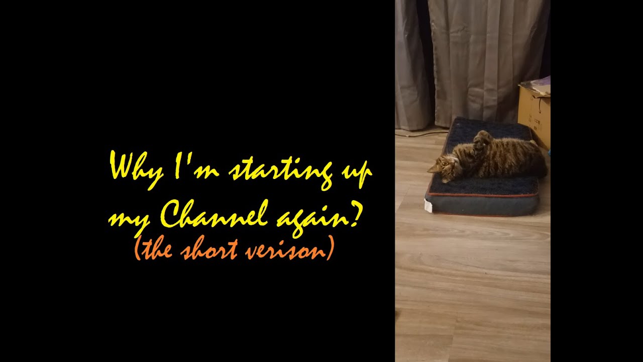 Why I'm starting up again? - YouTube