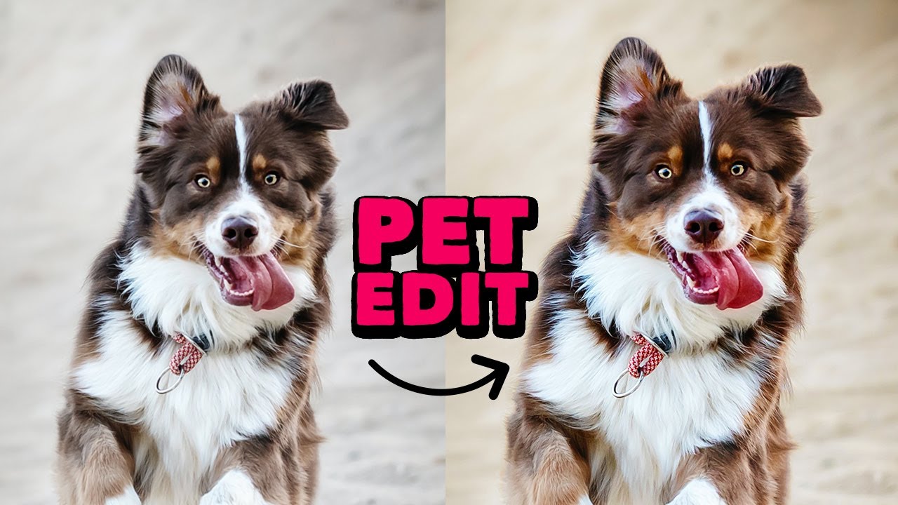 How to Edit Pet Photos in Photopea! - YouTube