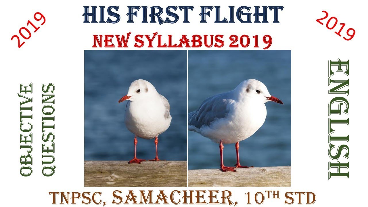 His First Flight| English|New Syllabus|2019|Objective Questions ...