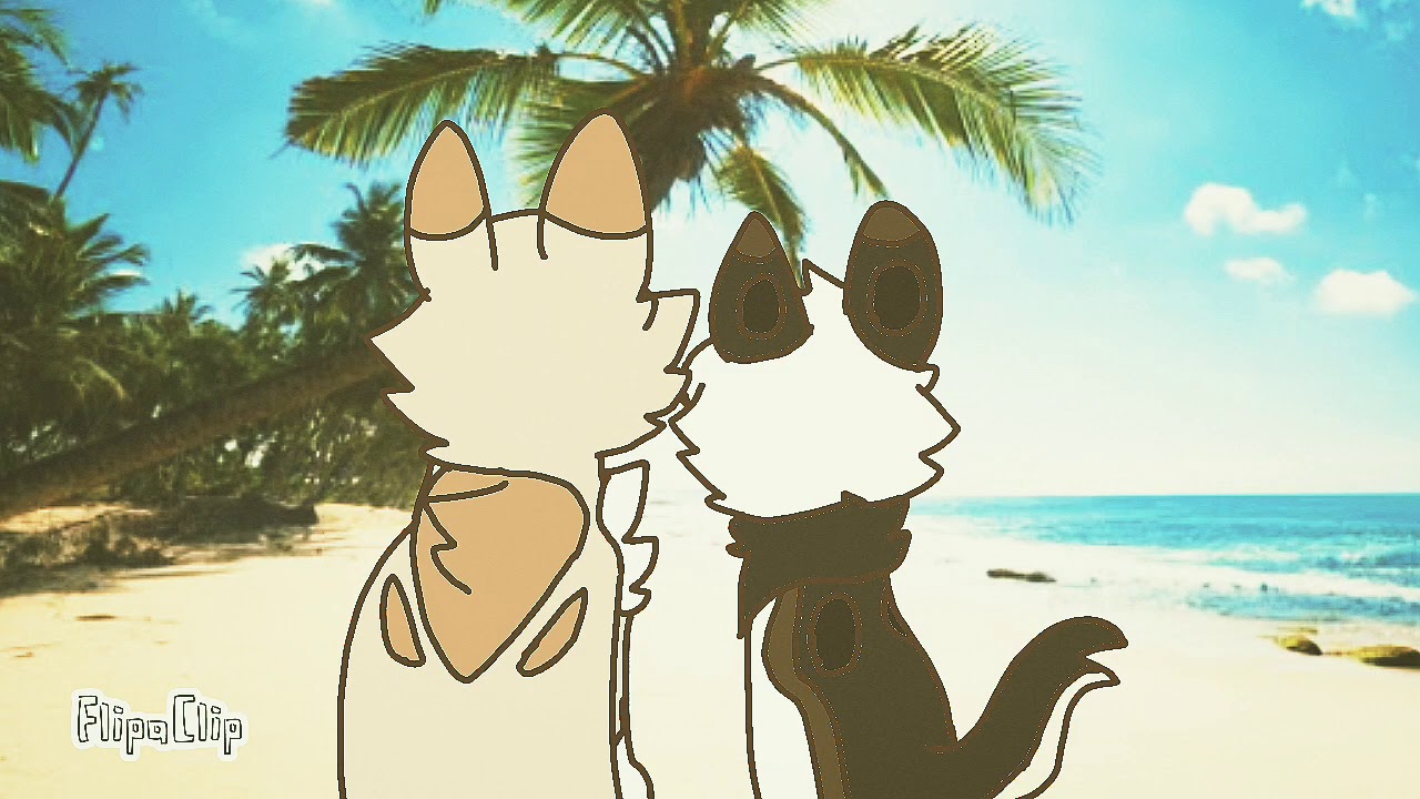 Summer vibes animation meme - Birthday gift - YouTube