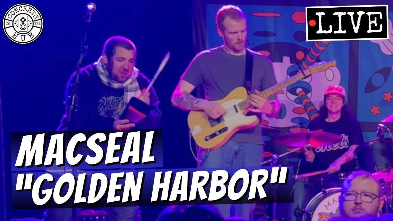 Macseal "Golden Harbor" LIVE - YouTube