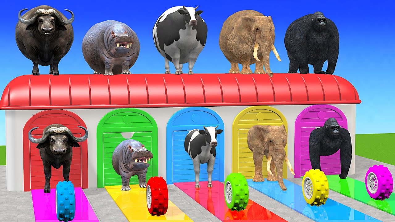 Long Slide Game With Elephant Gorilla Buffalo Hippopotamus Tiger 3d ...