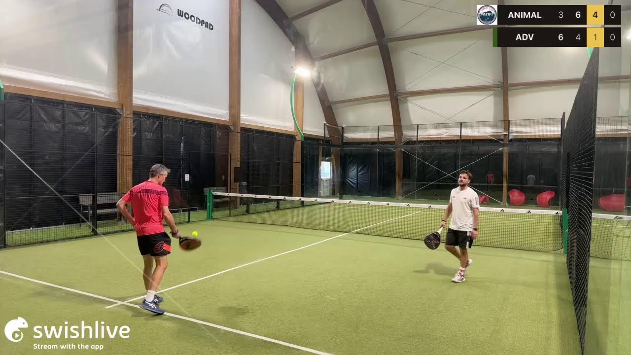 Live propulsé par l'application Swish Live ANIMAL VS ADV - YouTube