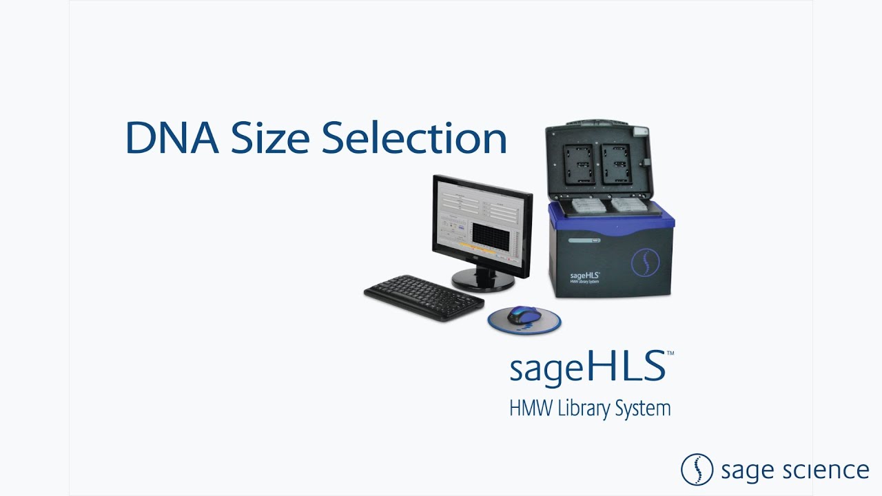 DNA Size Selection: SageHLS Platform - YouTube