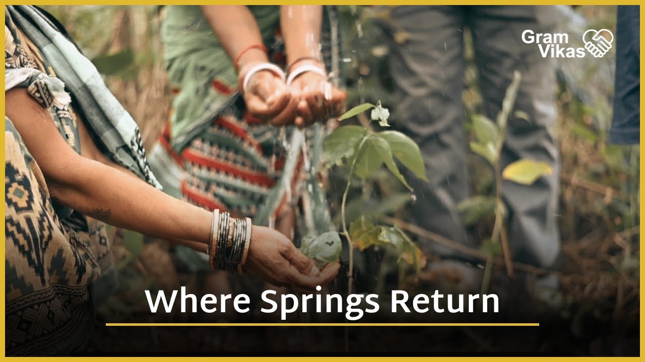 Where Springs Return 2024 - YouTube