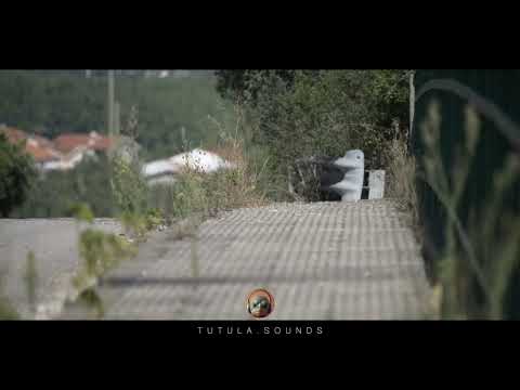Tutula - Esbjerg