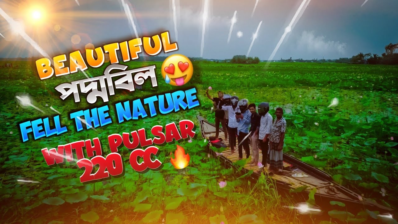 Beautiful Poddo Bil with Pulsar 220 cc || Crazy Rider - YouTube