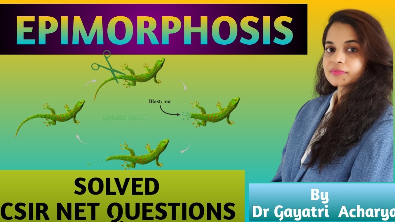 EPIMORPHOSIS/ REGENERATION/DEVELOPMENTAL BIOLOGY/CSIR NET/By Dr Gayatri ...