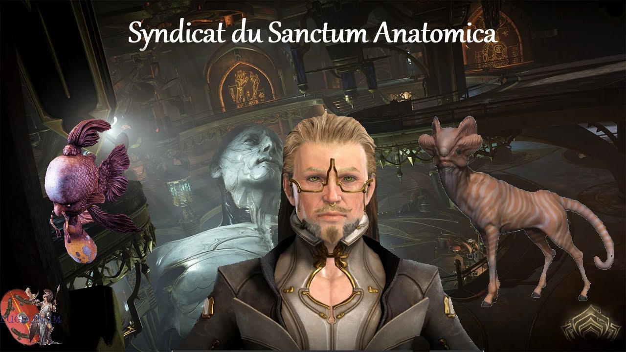 Warframe Cinématique - Le Syndicat: Sanctum Anatomica - YouTube