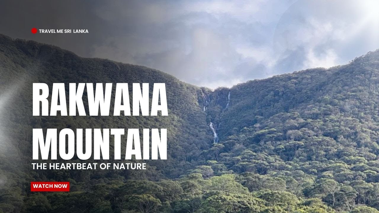 RAKWANA MOUNTAIN SRI LANAKA - VISIT SRI LANAKA - A MUST VISIT PLACE IN ...