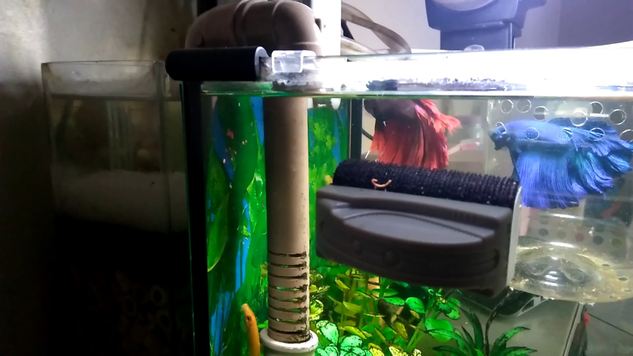 Mini sump e controladora de temperatura para aquário pequeno ...