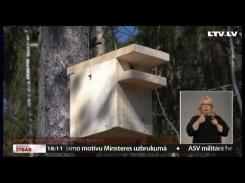 Putnu dienās top putnu būrīši - YouTube